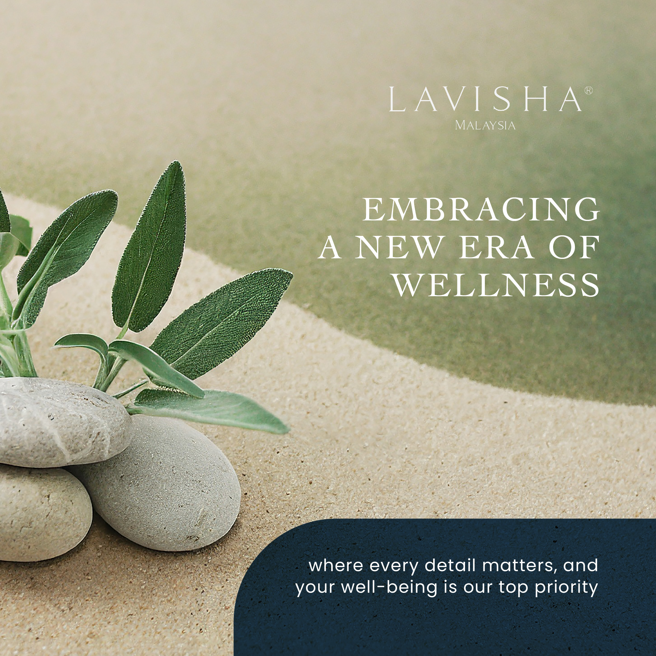 Lavisha